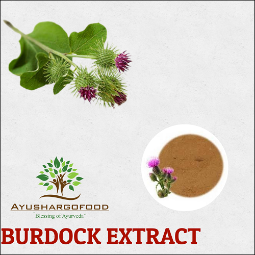 BURDOCK EXTRACT